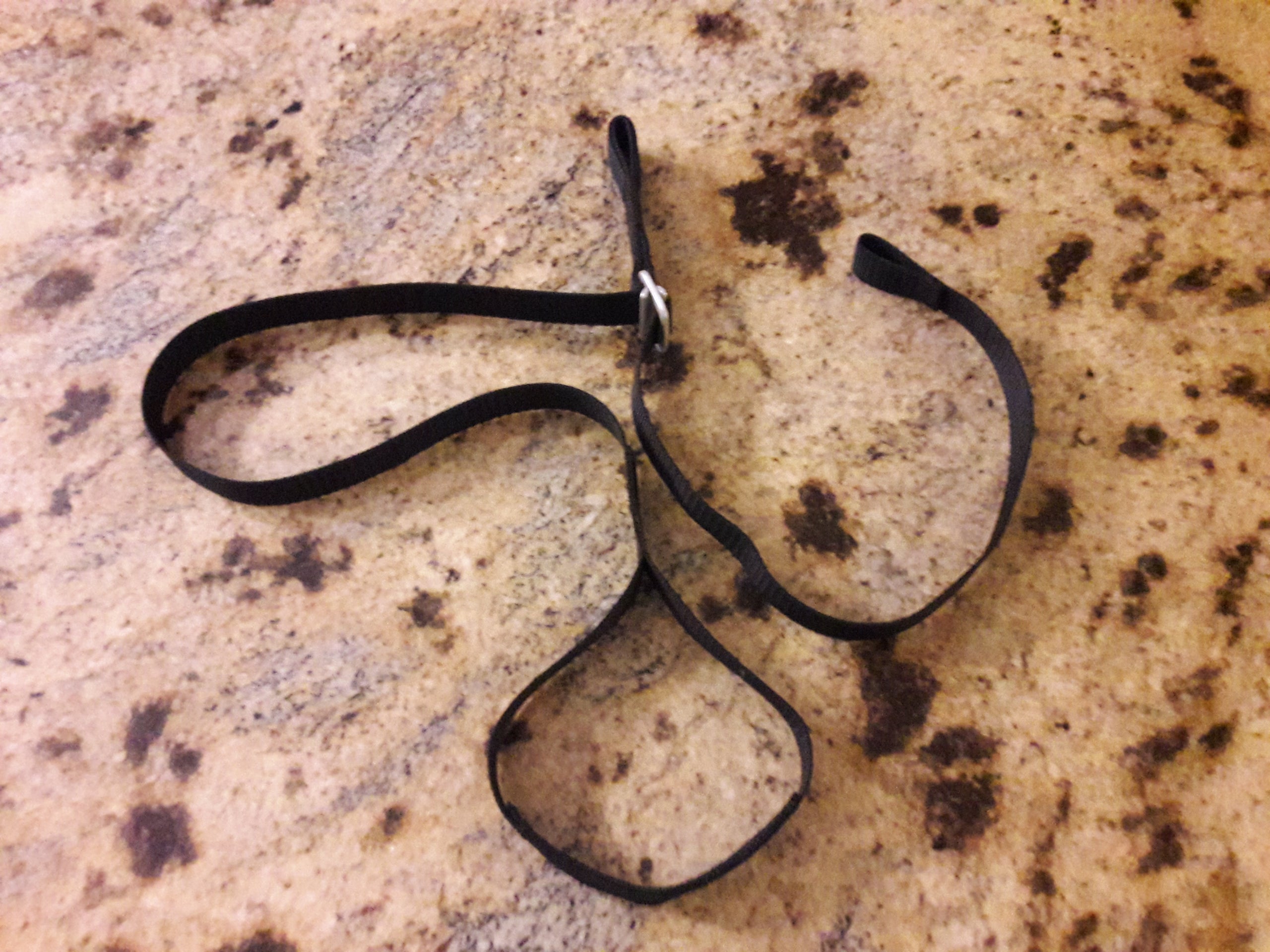 Single Foot Loop Harness | Toxic Frog Cave Gear